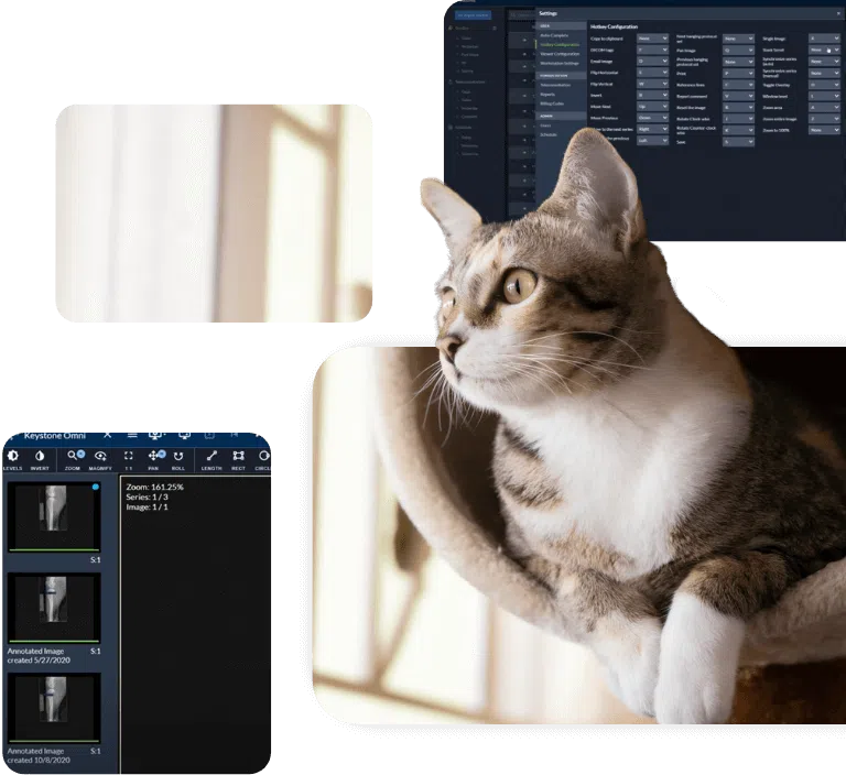 Vet Diagnostic Imaging Systems for Companion Animals | Asteris