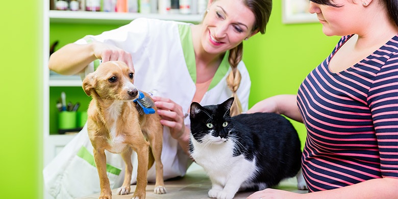 7 Insights Every Vet Practice Manager Should Keep in Mind