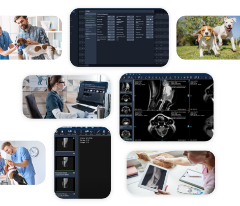 Keystone Omni | Veterinary Practice Management Platform | Asteris