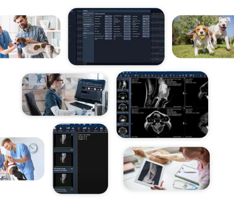 Keystone Omni | Veterinary Practice Management Platform | Asteris