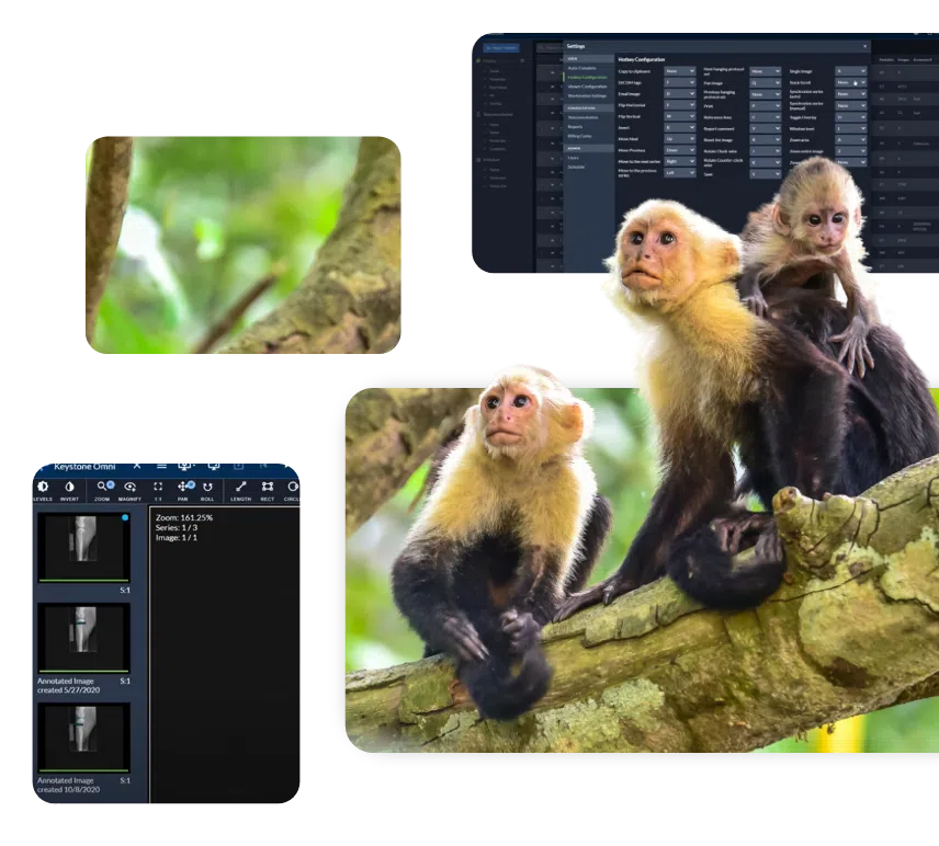 Digital Image Management Solutions for Exotic & Large Animals | Asteris
