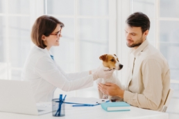 Veterinary PACS Systems | VetPACS Software | Asteris