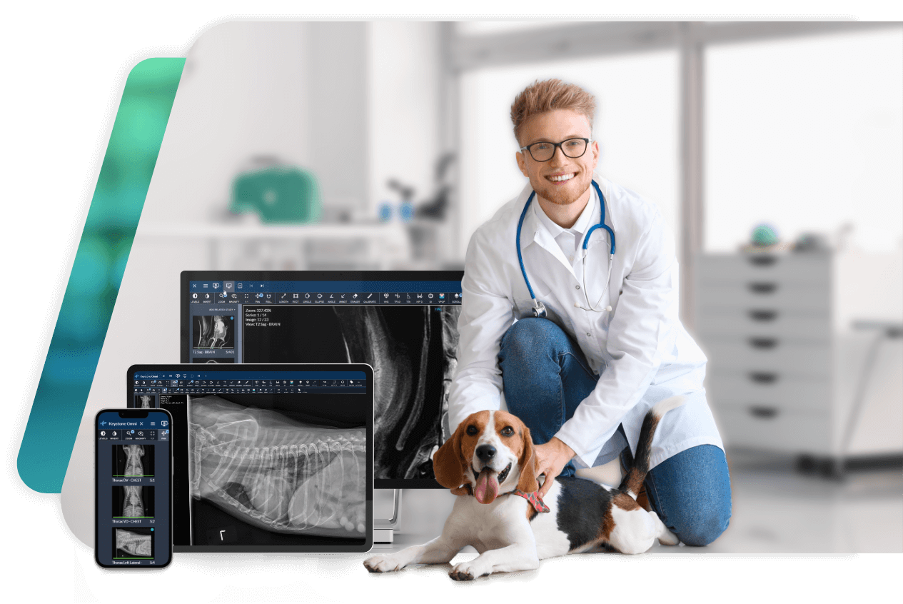 Veterinary PACS Systems | PACS Software for Veterinary | Asteris