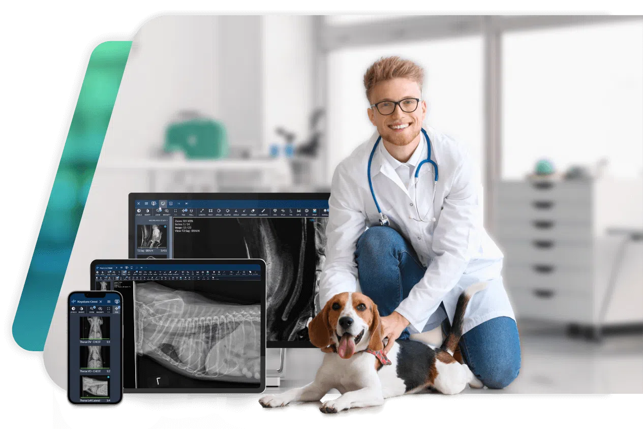 Veterinary PACS Systems | PACS Software for Veterinary | Asteris
