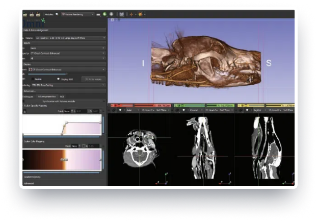 3D Volume Rendering Software for Veterinary Clinics: Keystone 3D