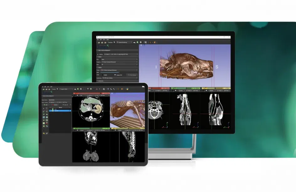 3D Volume Rendering Software for Veterinary Clinics: Keystone 3D