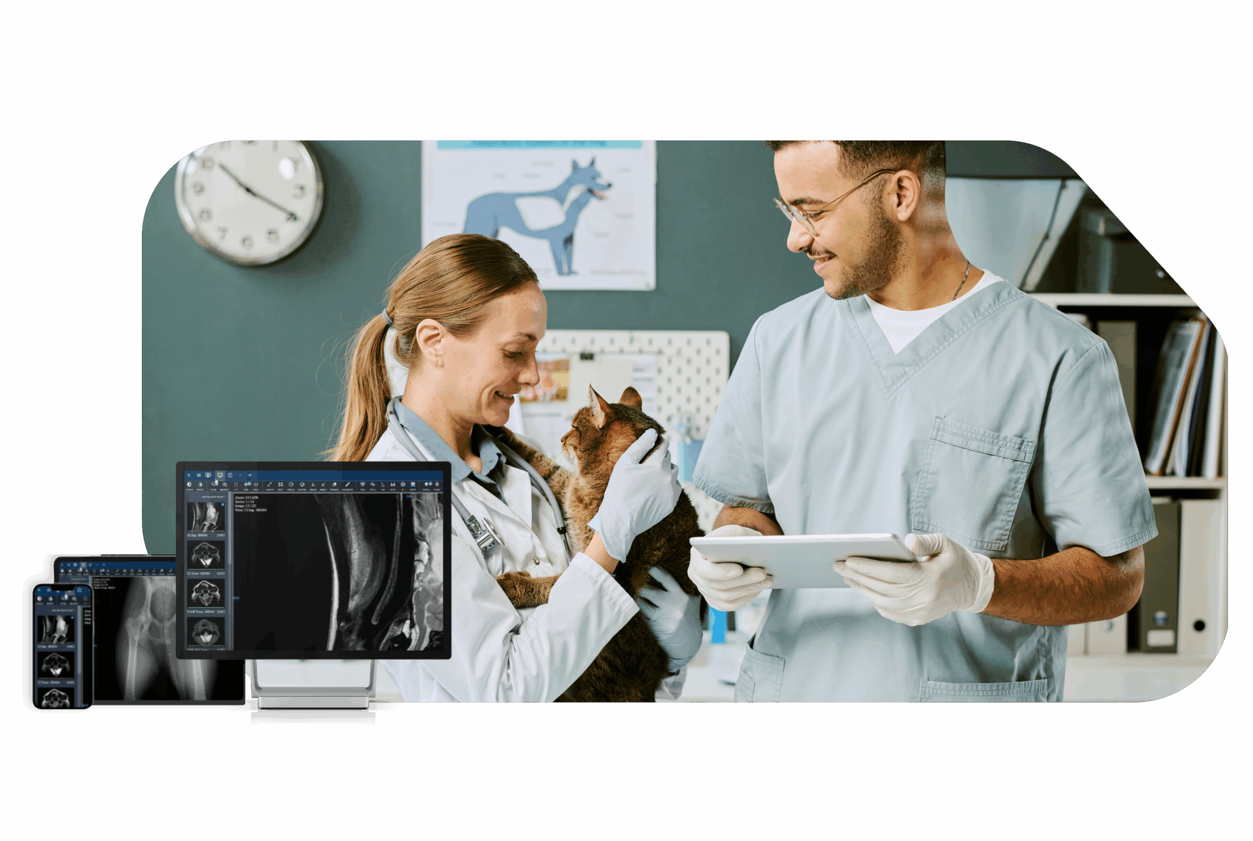 Veterinary PACS Systems | PACS Software for Veterinary | Asteris