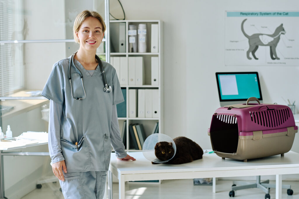 Why Human Medical Imaging Software Fails Veterinary Clinics | Asteris